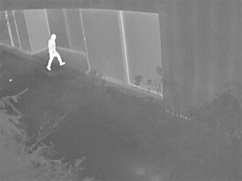 Flir Camera Objects Fsod Ivyg Object Detection Dataset By Roboflow Vlold