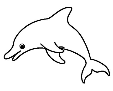 Dolphin Coloring Page Simple
