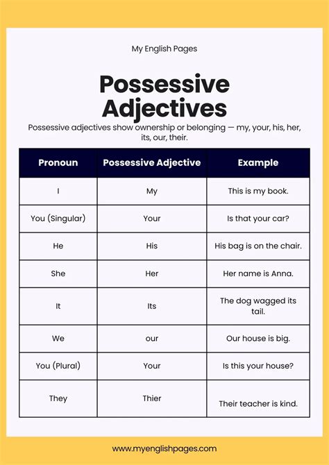 Possessive Adjectives English Exercises