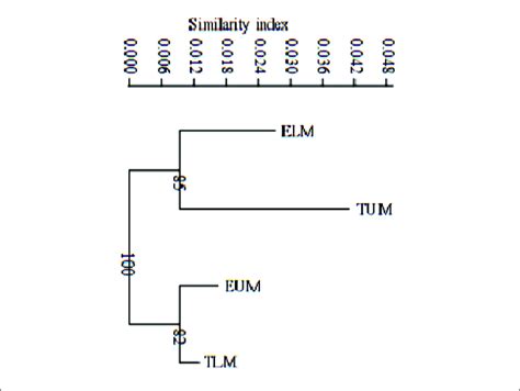 a neighbor joining dendrogram based on nei s unbiased genetic