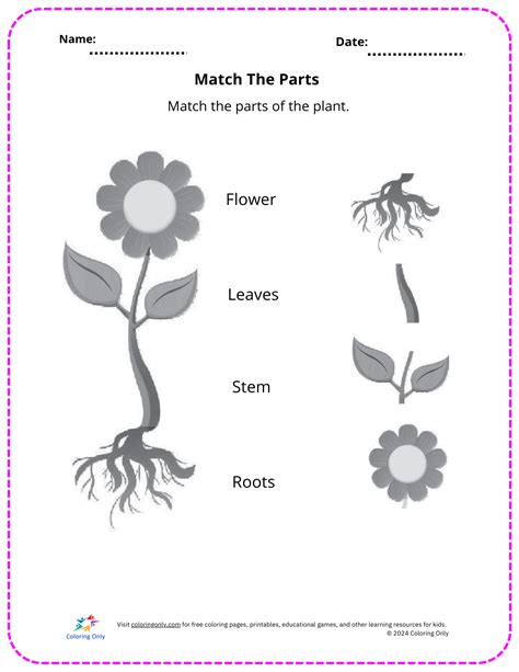 Printable Worksheet Template