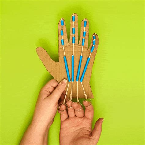 Moving Hand Model Craft Activity Guide Baker Ross
