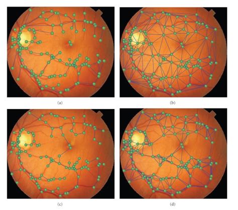 Illustrations For Various Topological Graph Structures Investigated In