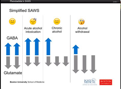 Bosch Implementation Of A Phenobarbital Pathway For Severe Alcohol