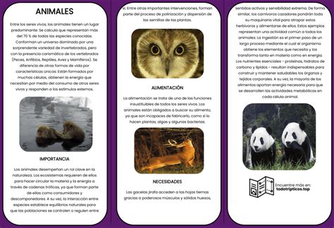 Trípticos De Los Animales 【descargar】