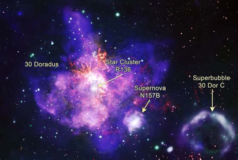 La Nasa Muestra La Nebulosa De La Tarántula Que Tiene Forma De Ramo