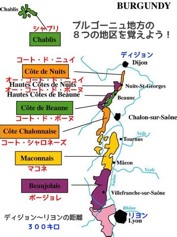 過去問解説 2016年 共通 026 ブルゴーニュ地方 生産色の覚え方のコツ ソムリエ・ワインエキスパート試験に絶対に合格したいアナタへ！