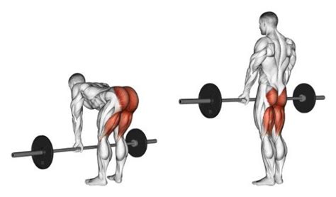 Exercise Of The Month Romanian Deadlift