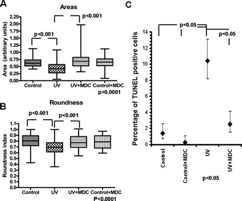 Box Plots Showing Apoptotic Nuclear Morphology Measured On Digital