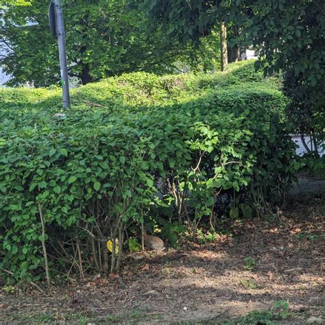 What A Year Single By Regulated Migration Spotify