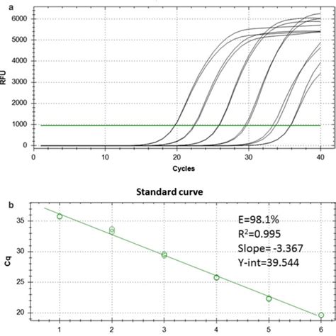 Amplification Plot A And Standard Curve B Generated From