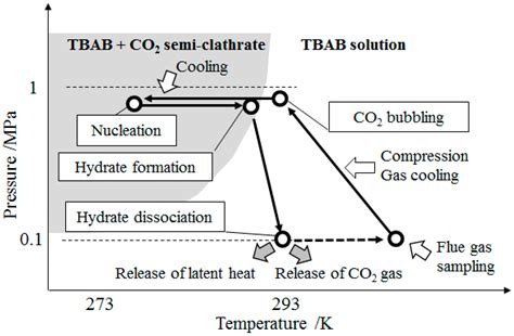 What Is Co2 Enrichment At Carl Ward Blog