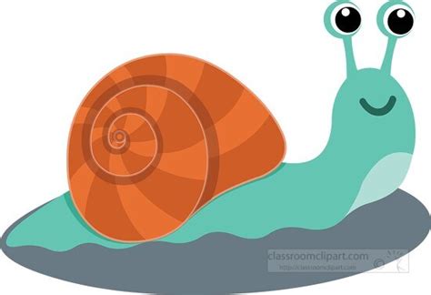Sea Snail Clipart