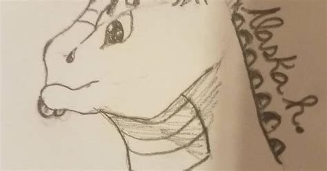 Snapper Doodle Album On Imgur