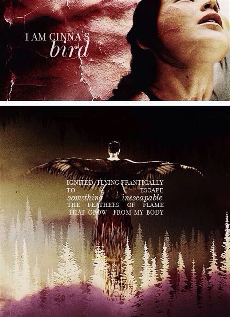 Hunger Games Catching Fire Katniss Cinna Hunger Games Hunger