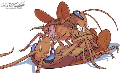 Rule 34 Antennae Anatomy Arthropod Arthropod Abdomen Arthropod Abdomen Genitalia Arthropod