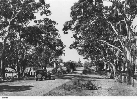Road To Adelaide From Yankalilla • Photograph • State Library Of South