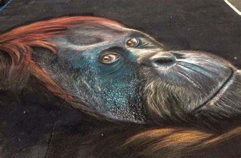 Latest Photo Extinction Art Endangered Species Ideas Endangered