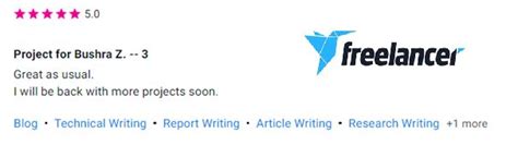 Freelancing Freelancecopywriter Freelancewriting Bushra Zia