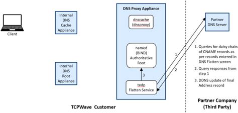 figure 2 dns proxy flatten process