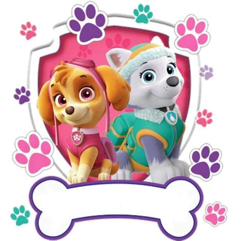 Images By Katty On Eva 91d Paw Patrol Birthday Girl Paw Patrol