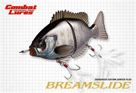 Evergreen Bream Slide