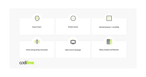 What Is Python Used For Examples Of Python Usage Codilime