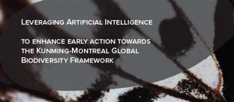 Paris Declaration On Aid Effectiveness United Nations Development