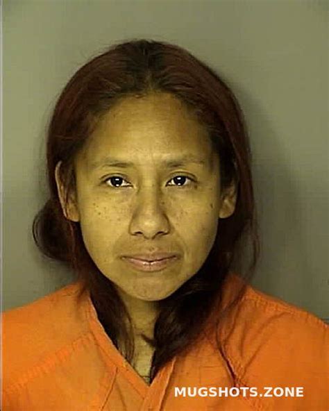 Lopez Maceda Lizette Griselda 05262025 Horry County Mugshots Zone