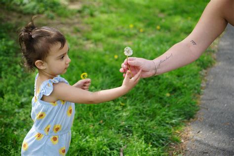 Assignment6all Flickr Assignment6all Flickr