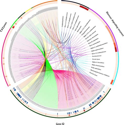 Carbohydrate Active Enzyme Cazymes Encoding Genes Present In P