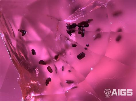 Inclusions In Ruby In Ruby Inclusions In Sapphire Inclusions In