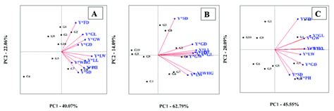 Correlation Biplot Between Grain Yield Compounds In The Traits
