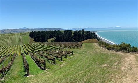Seddon New Zealand 2023 Best Places To Visit Tripadvisor