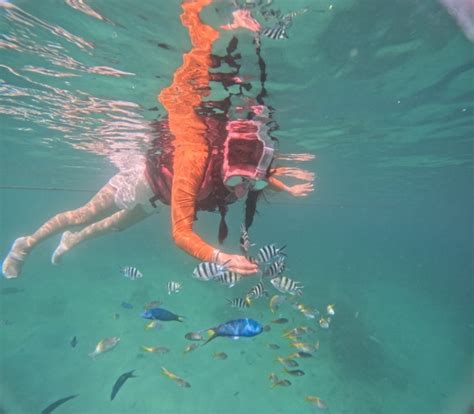코타키나발루 제셀톤포인트 한국에서 흥정가로 예약가능한 옘미 예루미 투어 네이버 블로그
