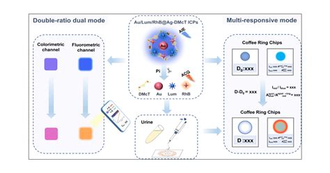 Aulumrhbag Dmct Icp Based Double Ratio Colorimetric And Fluorometric