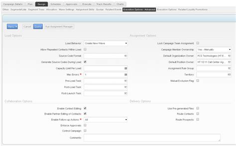 siebel siebel marketing campaign execution options