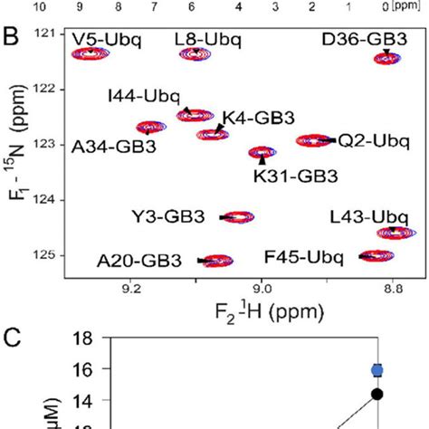 A The Use Of 1d Half Filter Experiment To Quantify Binding Of Two Download Scientific Diagram