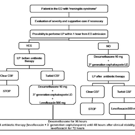 Flow Chart Of The Meningitis Bundle Abbreviations Csf Cerebrospinal Download Scientific