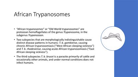 The Life Cycle Of Trypanosomiasis Pptx