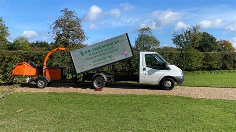 Home D R Tree Services Tree Surgeon