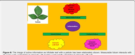 Figure 6 From Visualizing Information As A Dynamic Entity Roadmap Of