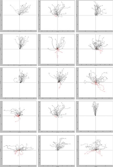 Trajectory Plots Of Individual Cell Migration Of Blood Outgrowth