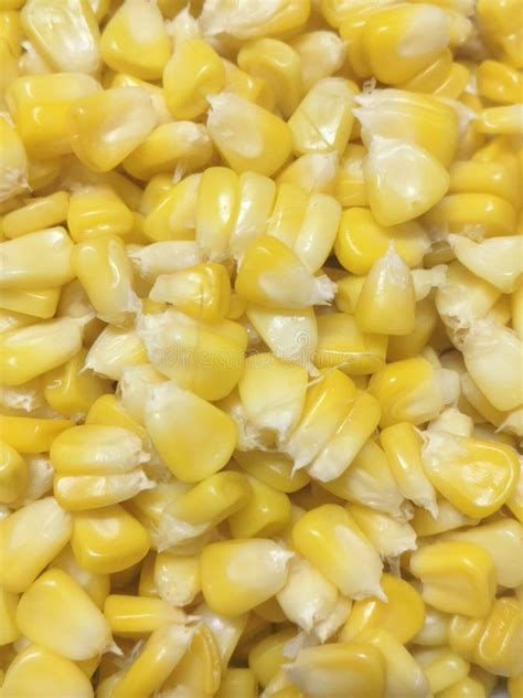 Corns Yellow Toasted Corn Corn Mixed With Butter Cooked Corn Kernels