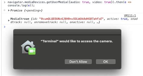Navigator MediaDevices GetUserMedia Promise Resolves Before User Grants Permissions