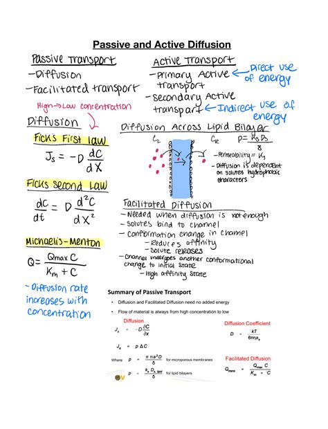 Lecture 4 Passive And Active Diffusion Passive Transport Active Transport Direct Use