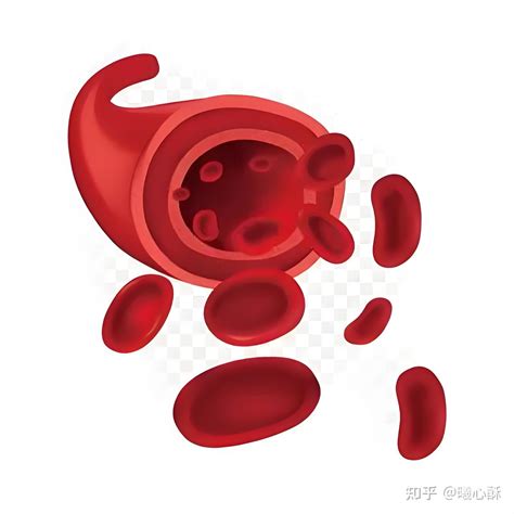 读懂血常规之红细胞 知乎