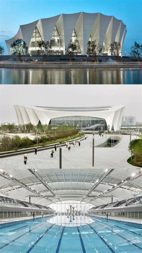 Long Span Structures Video Modern Architecture For Sports Centers Inspiration For Sports