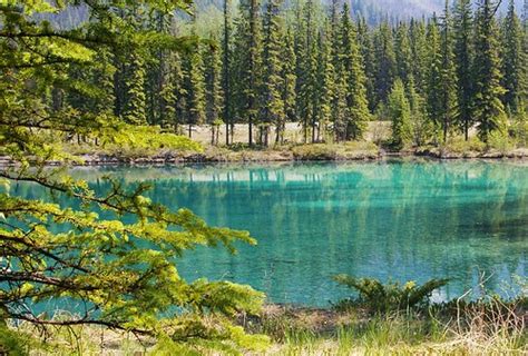 Teal Blue Lake An Unnamed Lake In Yoho National Park In Al Flickr