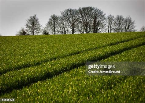 Cotswald Photos And Premium High Res Pictures Getty Images